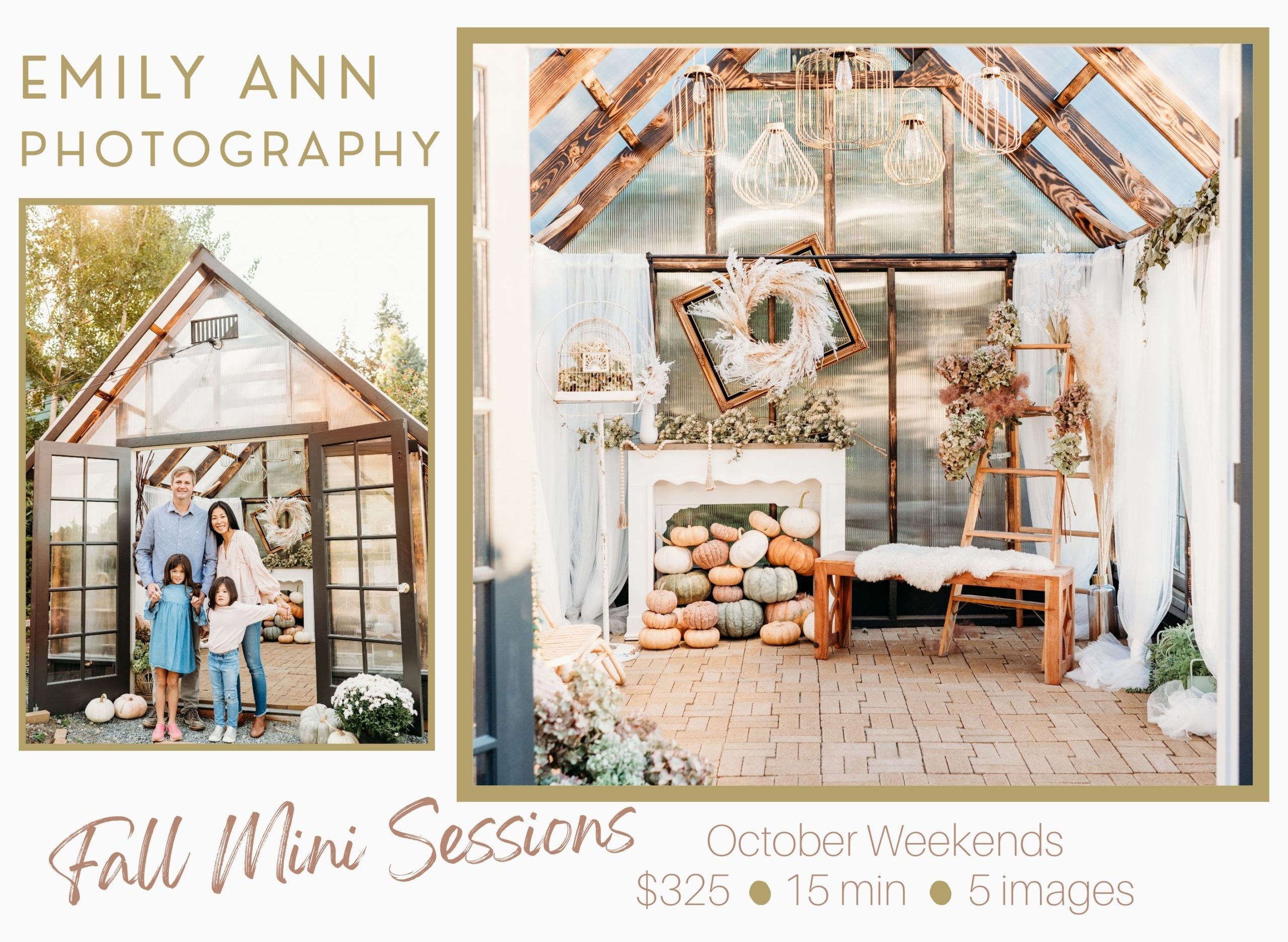 Fall Mini Sessions in Shoreline, WA | Seattle Family Photographer ...